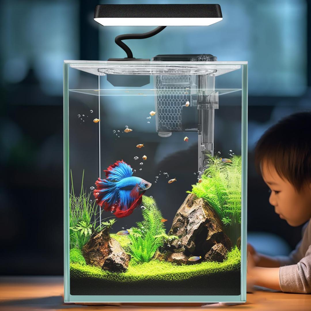 Ultra White Glass Betta Aquarium Starter Kits 1.5 Gallon Small Fish ...